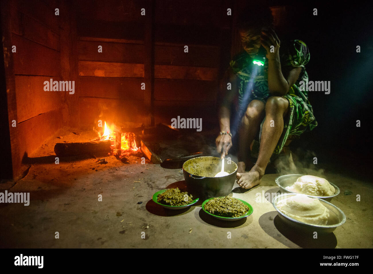 Bayaka Pygmies in the equatorial rainforest, Central African Republic ...
