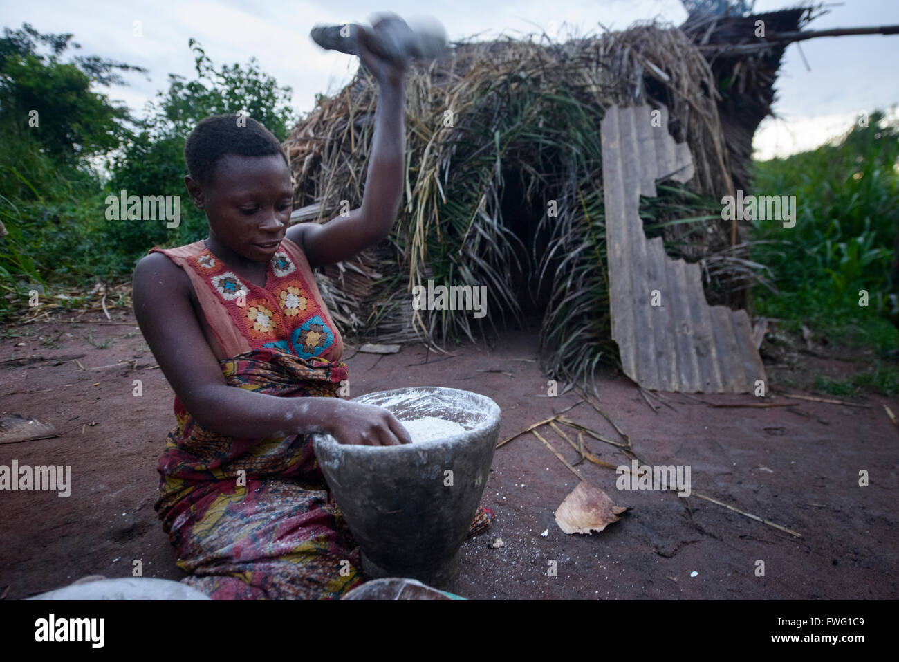 Bayaka Pygmies in the equatorial rainforest, Central African Republic ...