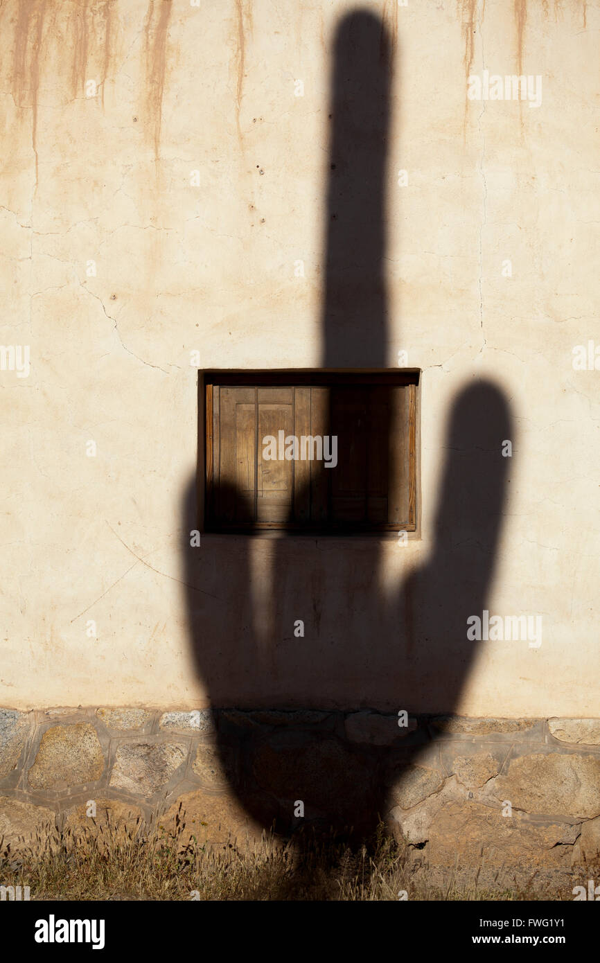 Cactus outside building hi-res stock photography and images - Alamy