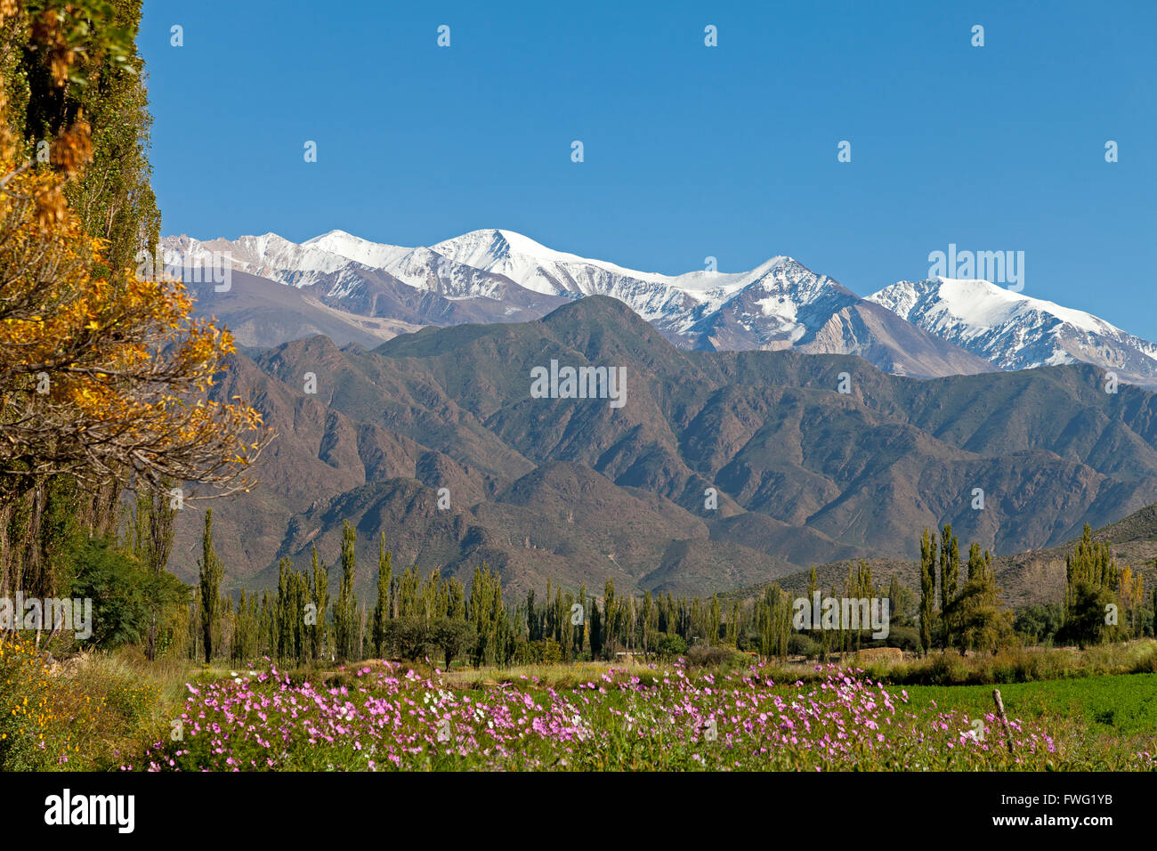 Spring day argentina hi-res stock photography and images - Alamy