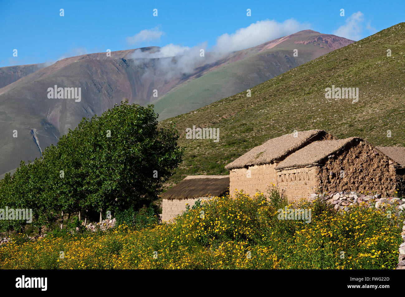 Typical Adobe farmhouse in the Andes, South America Stock Photo - Alamy