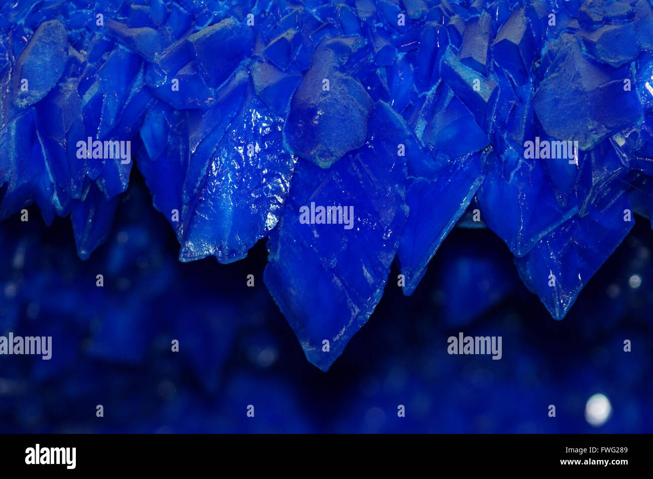 This image was captured of 'Seizure' an exhibit at Yorkshire Sculpture ...