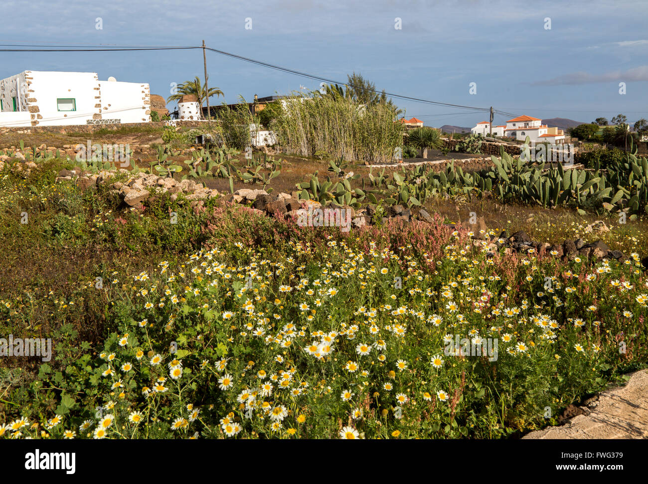 Traditional houses and gardens Villaverde village near Oliva ...