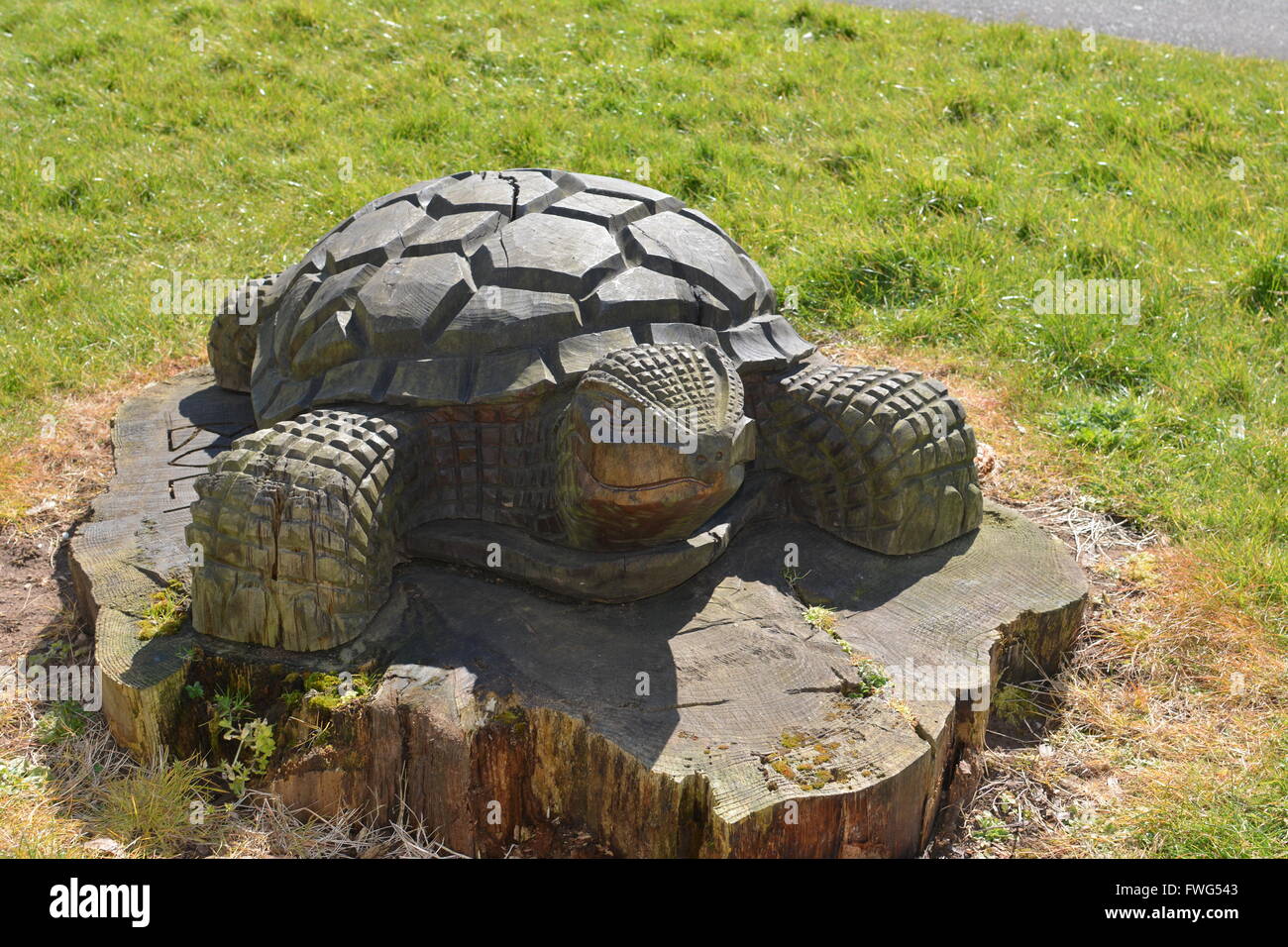 Wooden turtle hi-res stock photography and images - Alamy