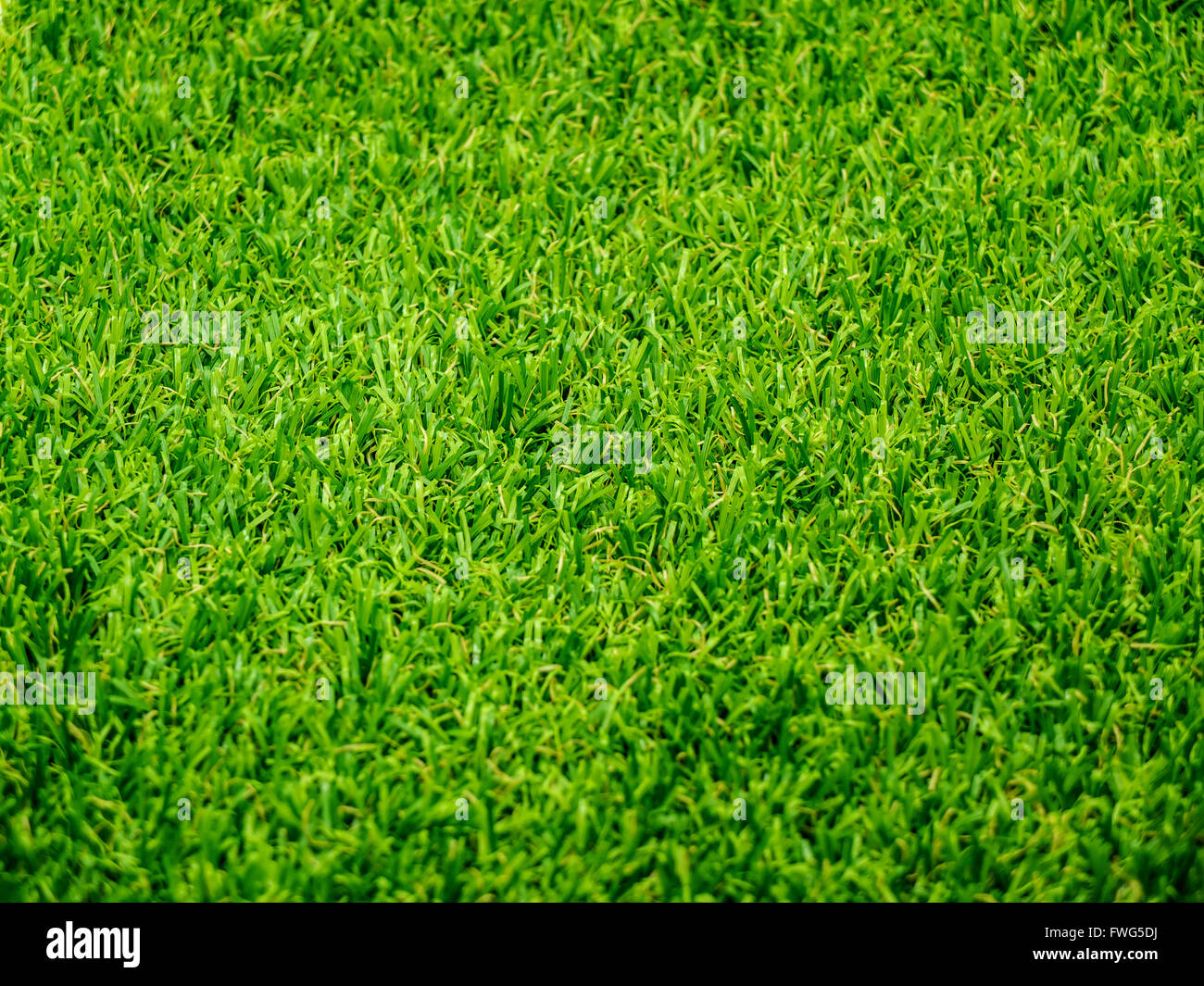 texture fresh grass for background Stock Photo - Alamy
