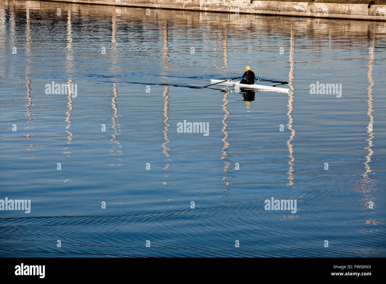 Man rowing a scull in the early morning in Toronto harbour Stock Photo ...