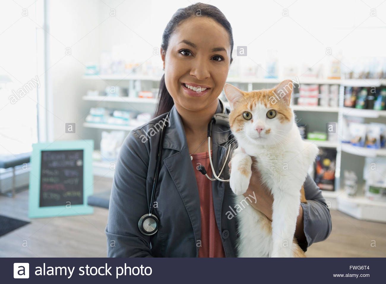 Portrait smiling veterinarian holding cat in clinic Stock Photo - Alamy