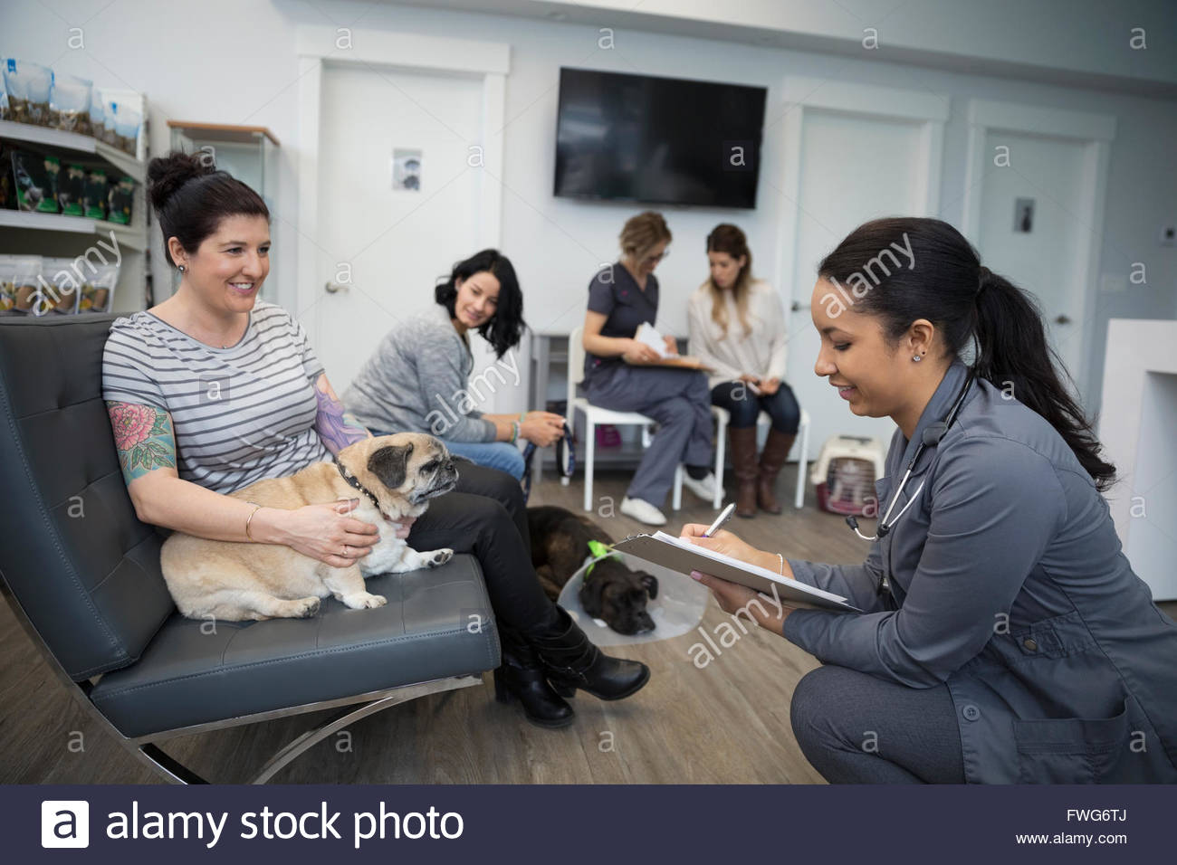 Owner talking to dog hi-res stock photography and images - Alamy