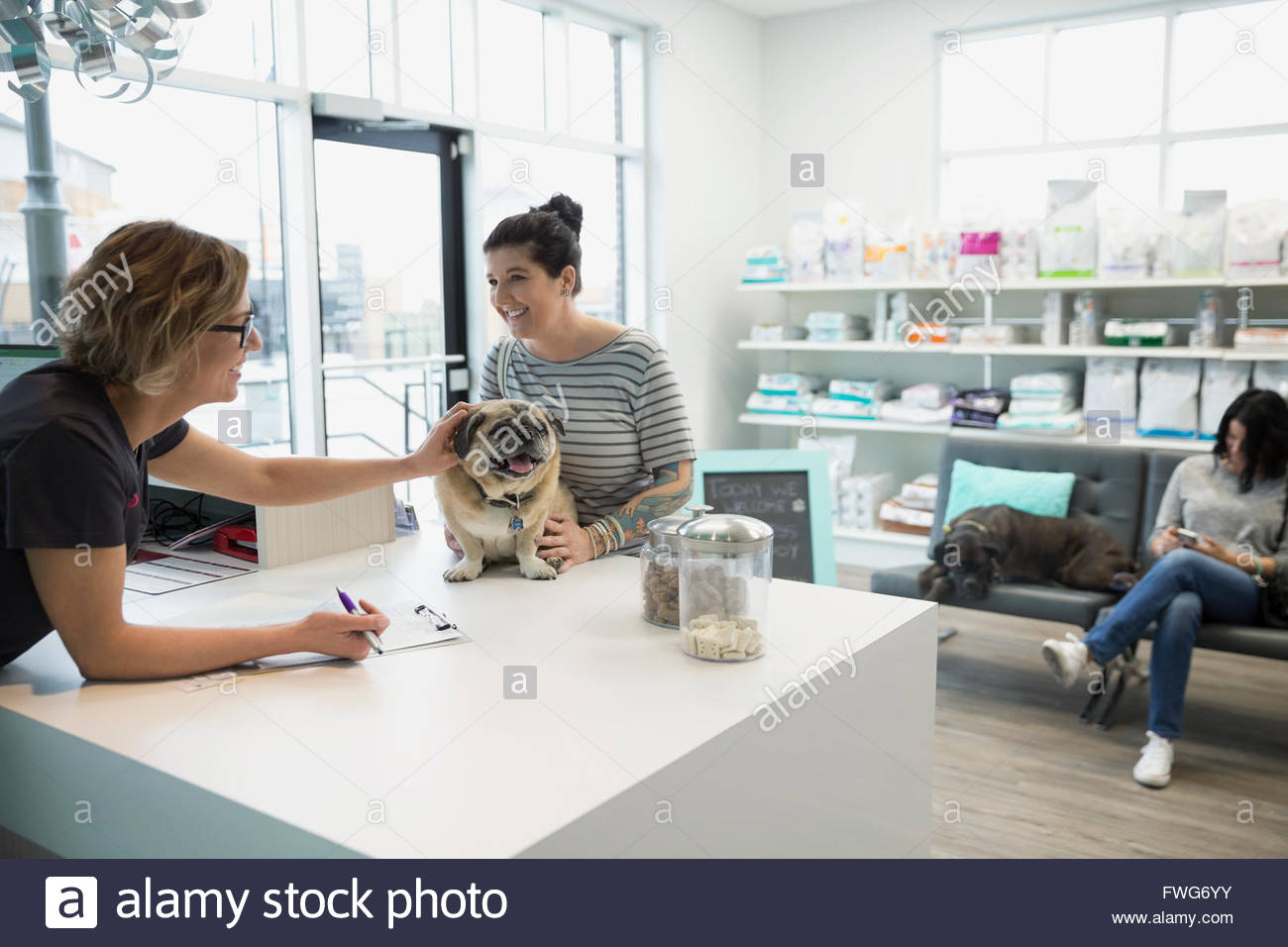 People and pets waiting vet hi-res stock photography and images - Alamy