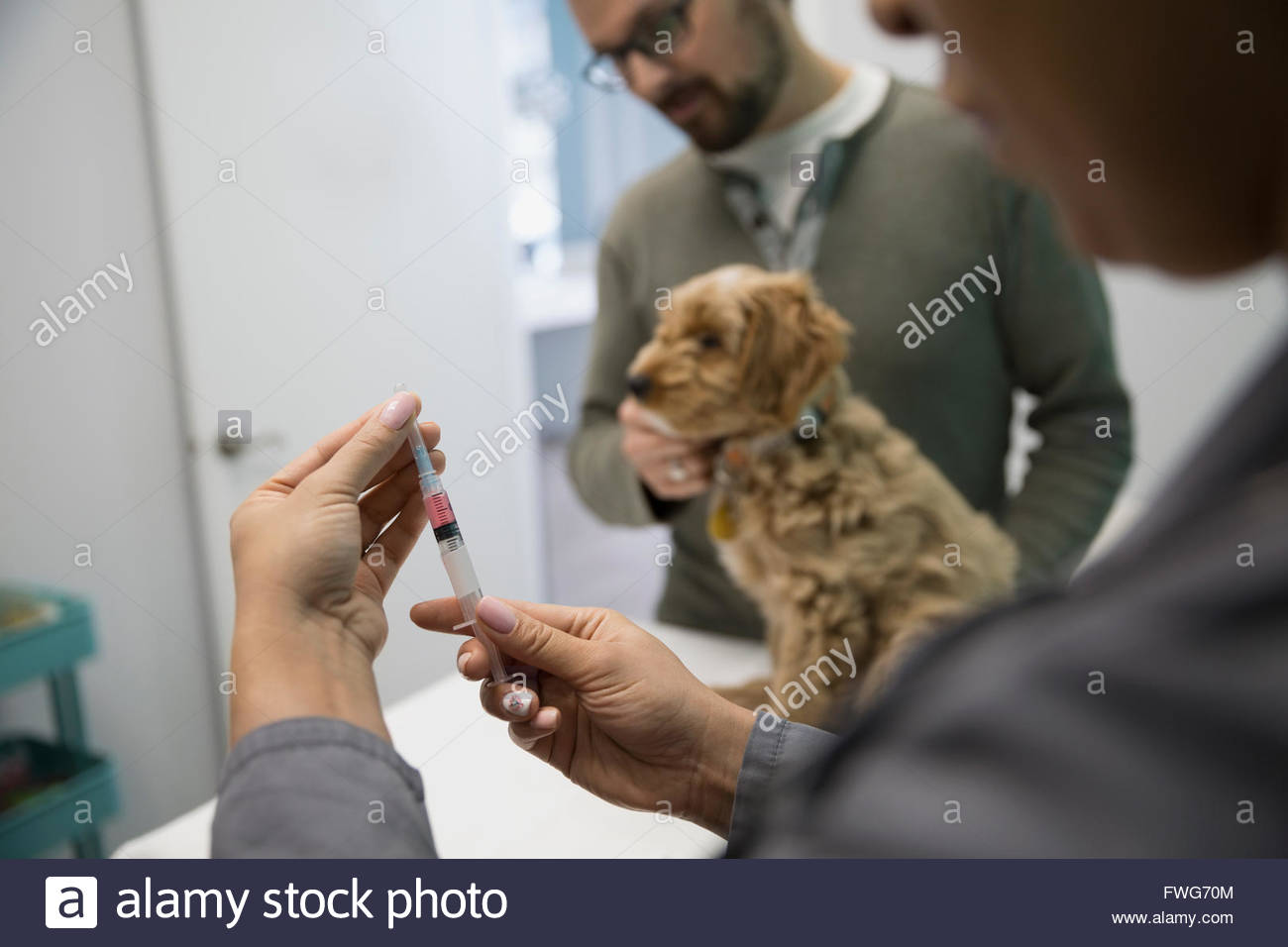 Preparing for the checkup hi-res stock photography and images - Alamy