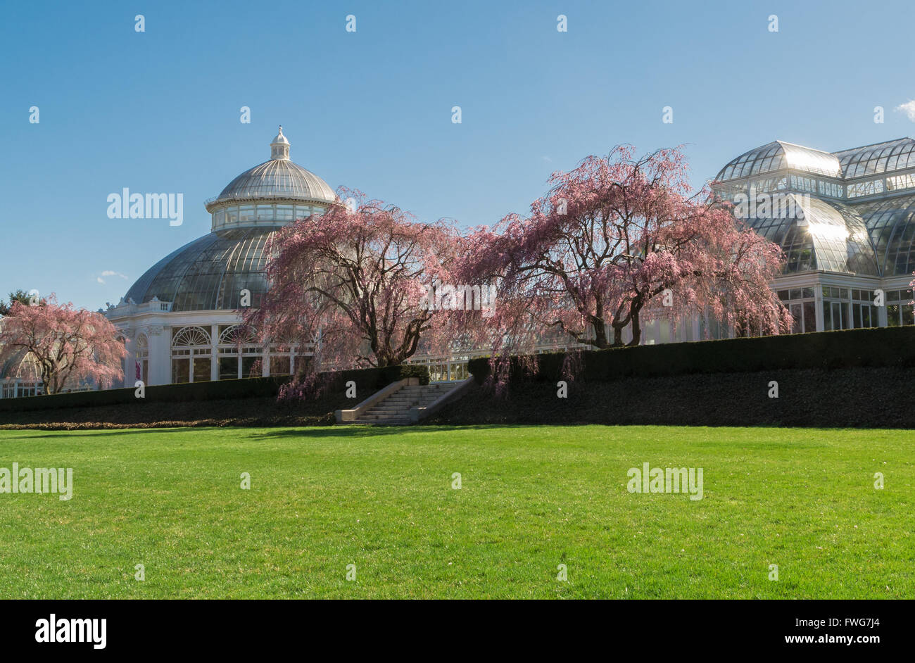 New york trees hi-res stock photography and images - Alamy