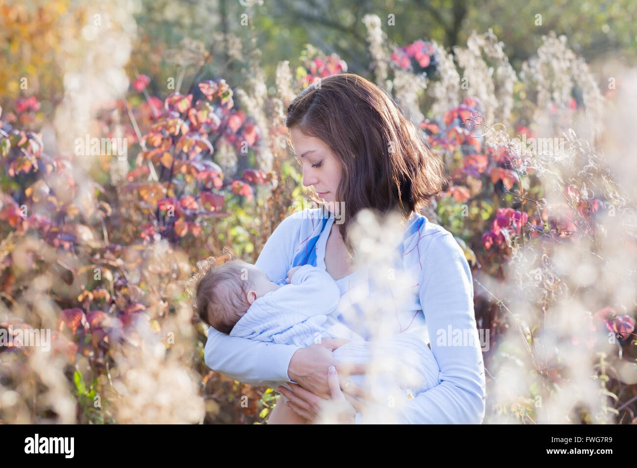 Young beautiful mother breastfeeding her baby in a meadow on a sunny ...