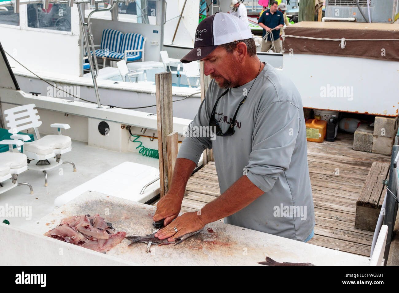 Fisherman gutting and filleting a freshly caught fish at Clearwater ...