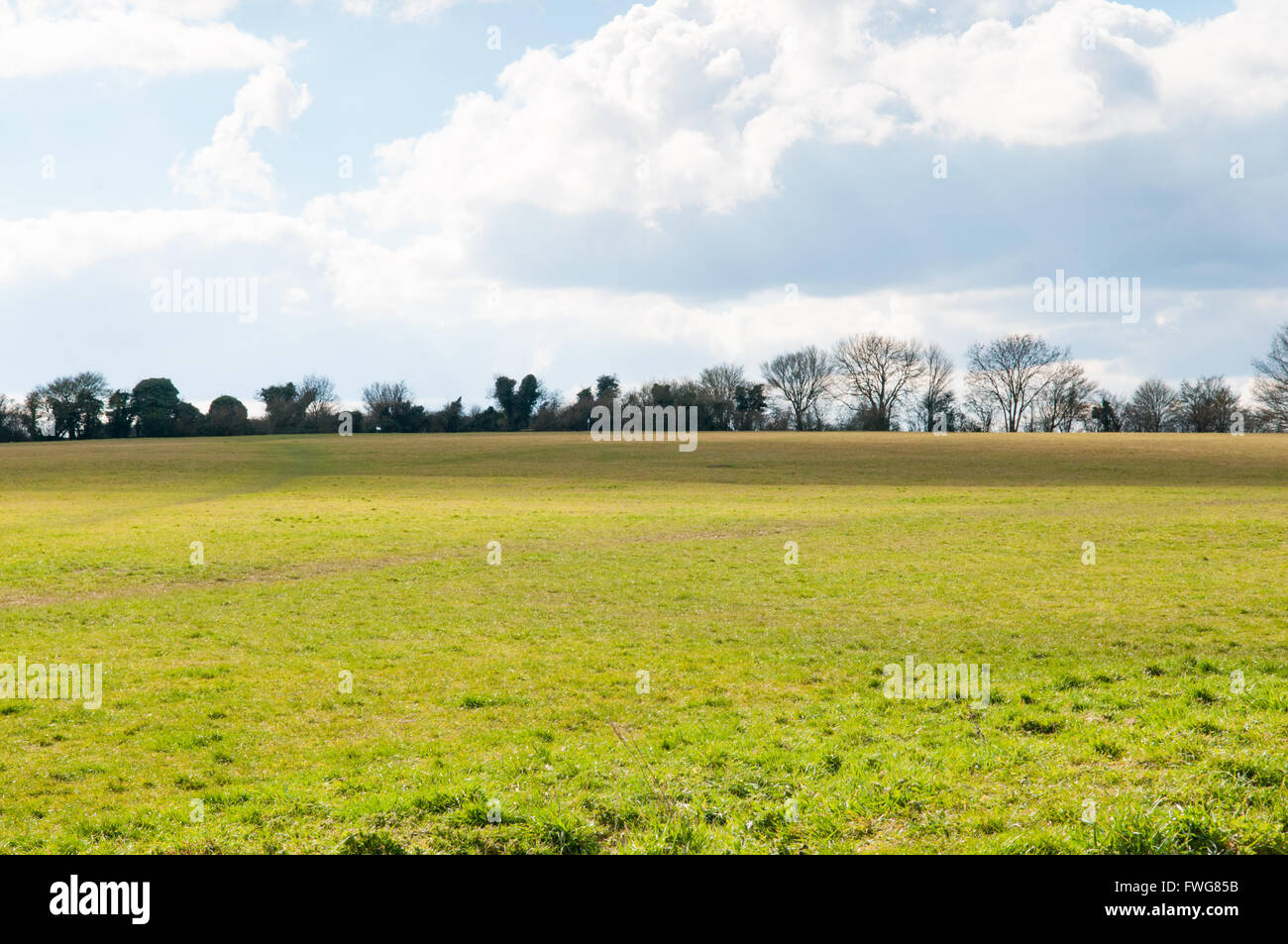 Large open playing field with a line of trees in tfhe background Stock ...