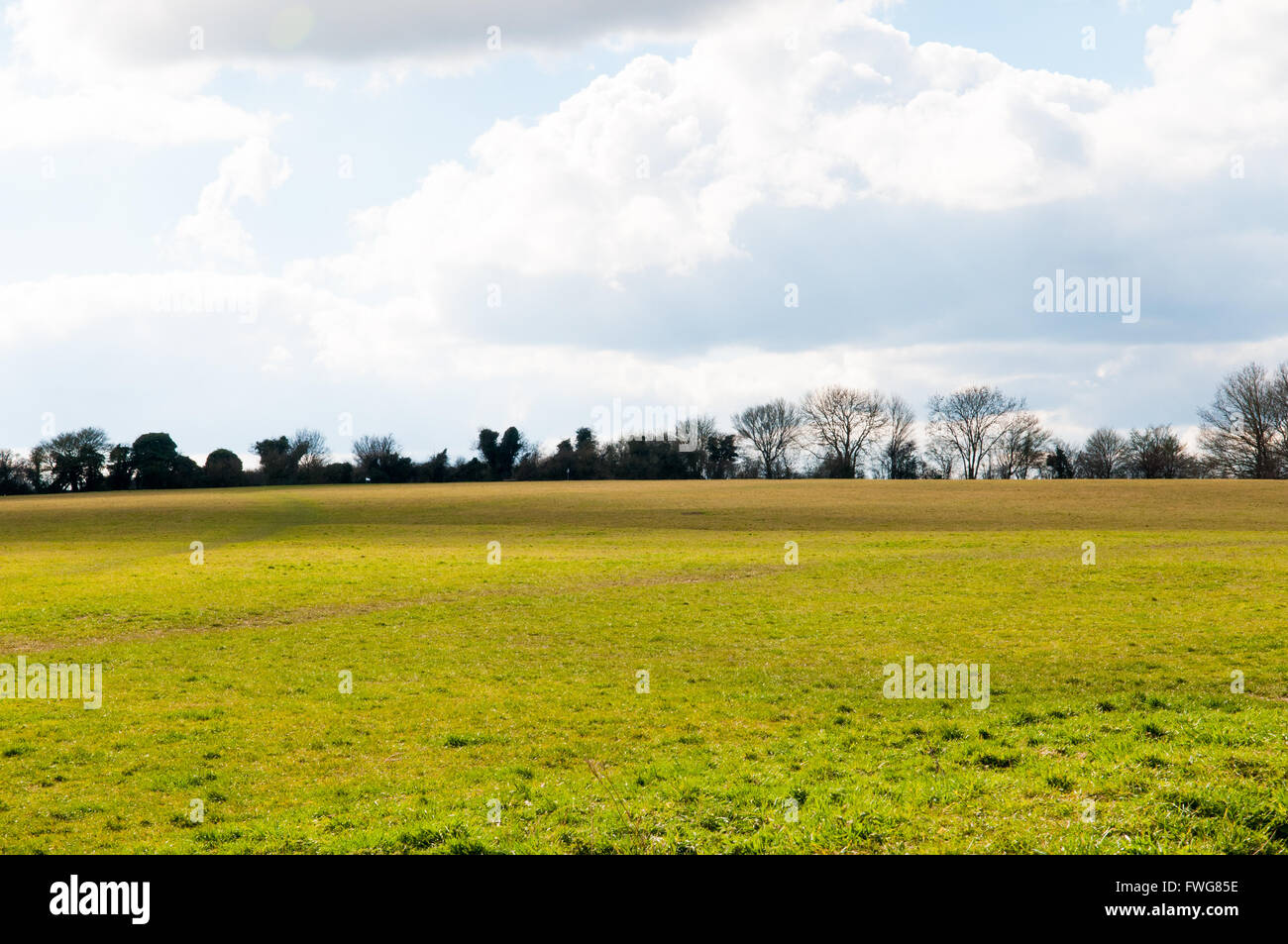 Large open playing field with a line of trees in tfhe background Stock ...