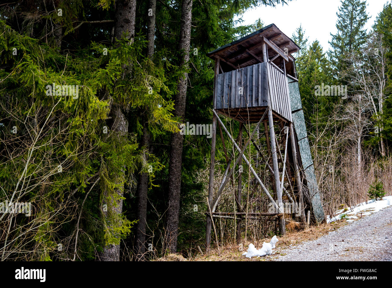 elevated wooden platform Stock Photo - Alamy