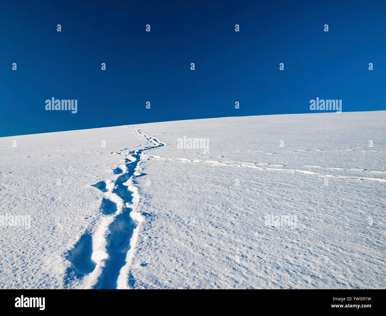 Tracks in the snow Stock Photo - Alamy