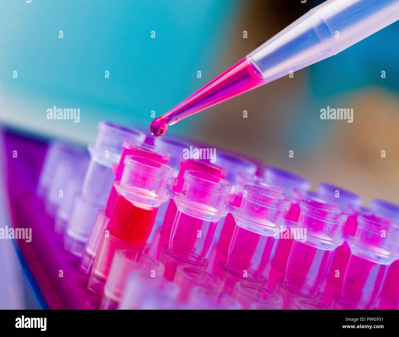 Pipette dripping liquid into test tubes Stock Photo - Alamy
