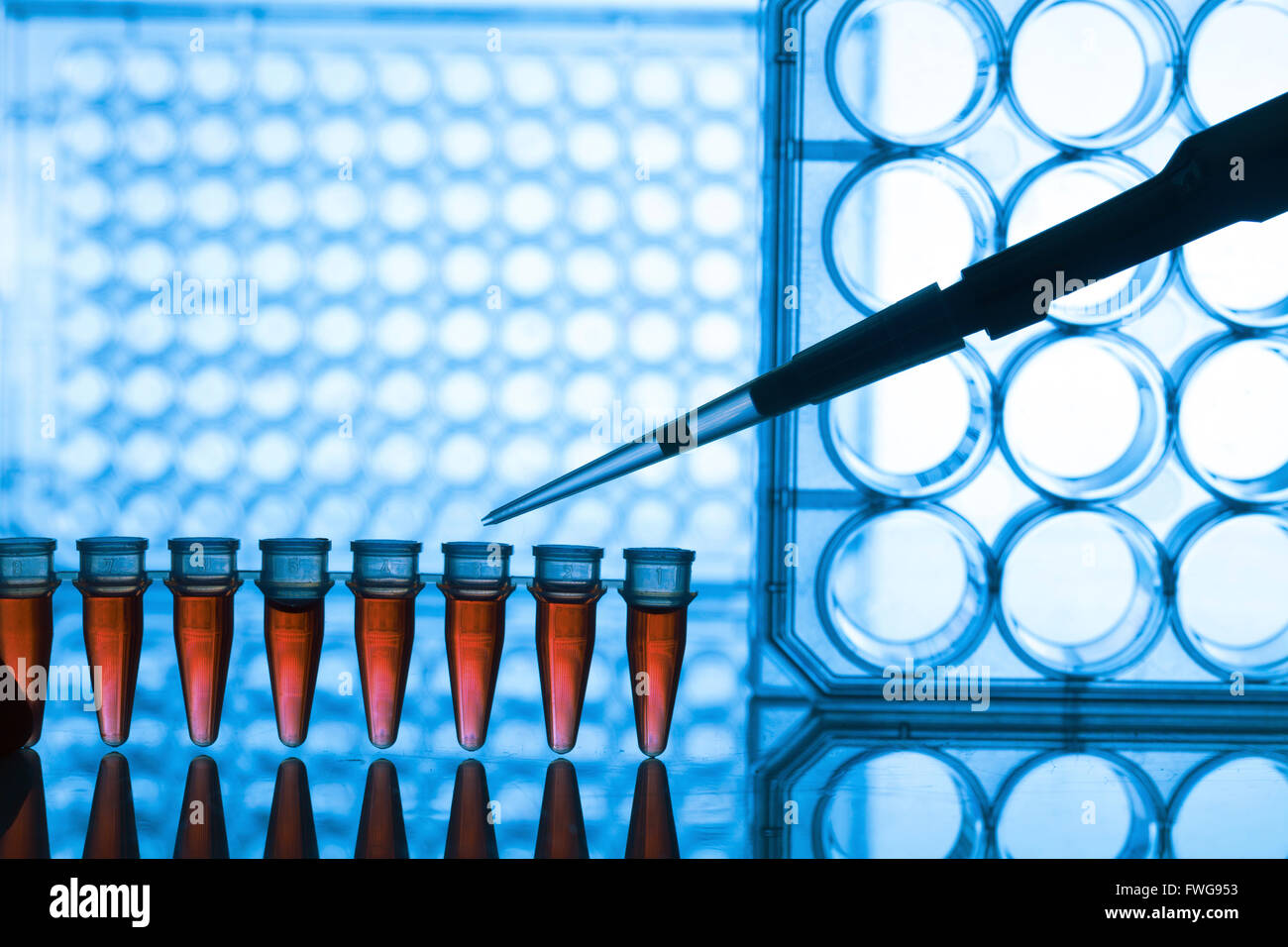 Microtubes hi-res stock photography and images - Alamy
