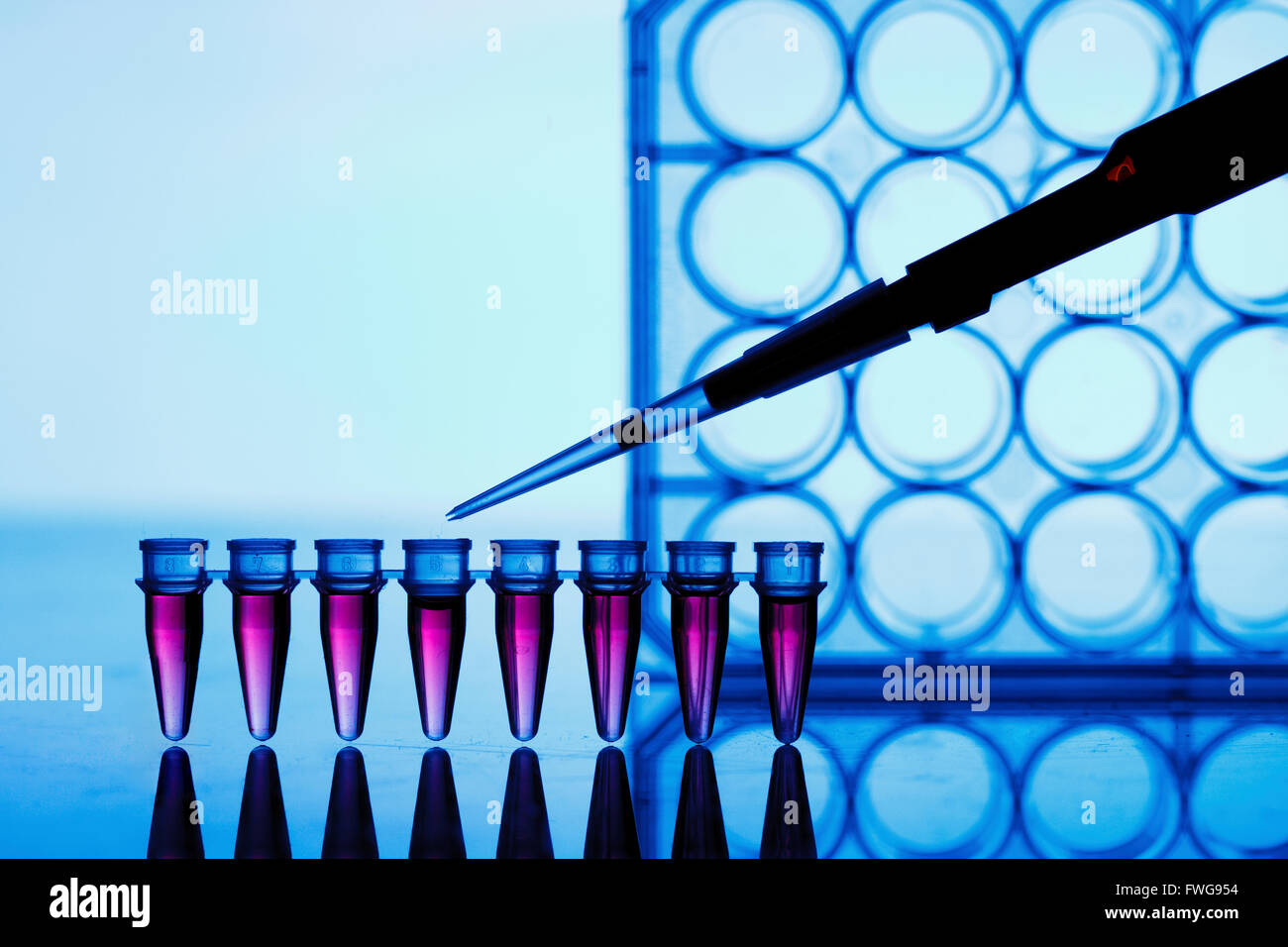 Microtubes and pipette Stock Photo - Alamy