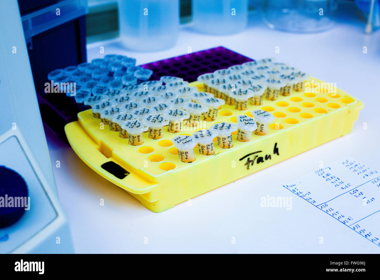 Samples in a multiwell tray in the laboratory Stock Photo - Alamy