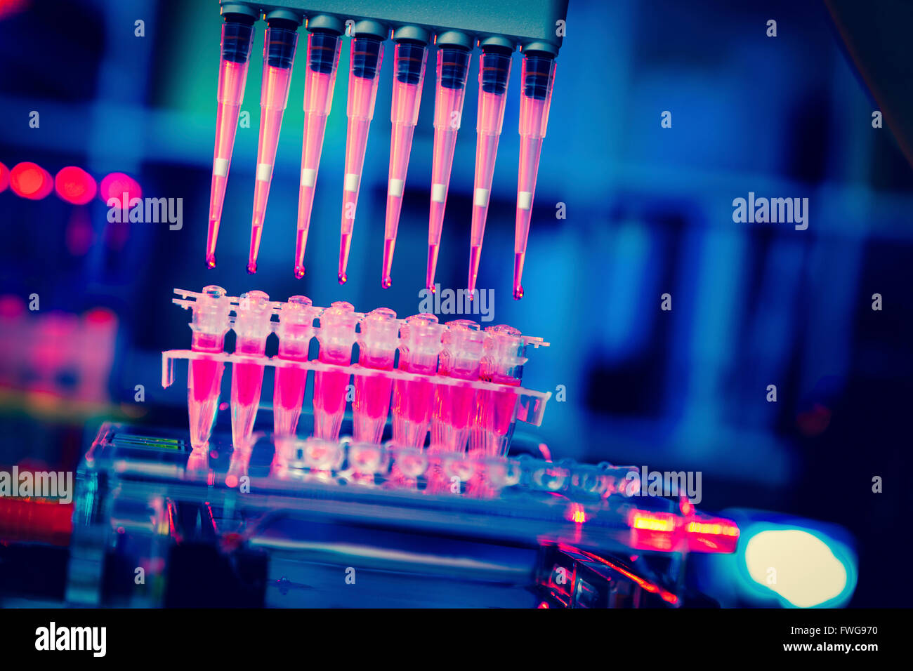 Multipipette in the laboratory Stock Photo - Alamy