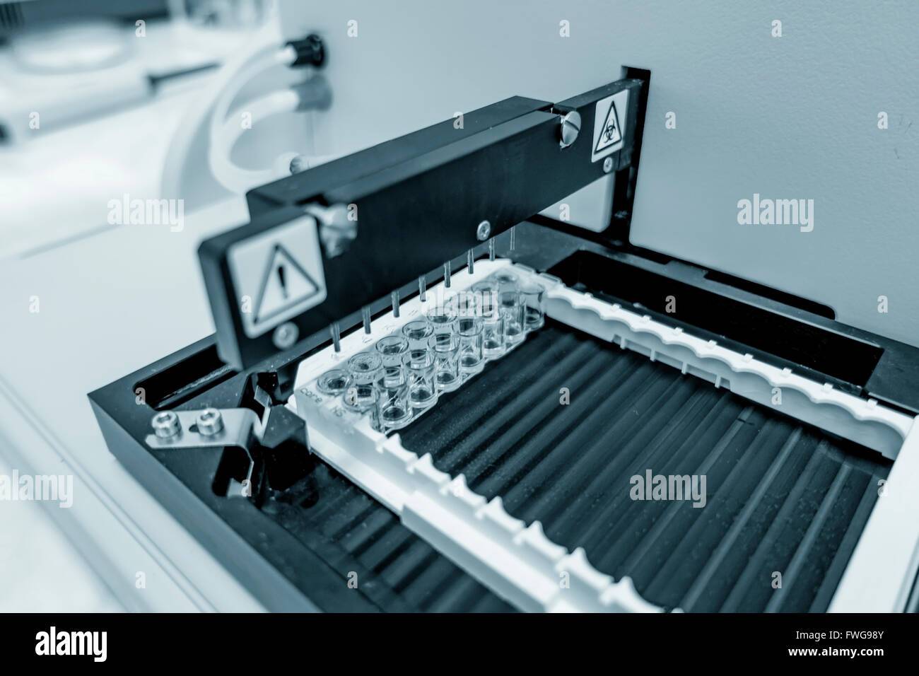 Microplate reader (microplate photometre) used to detect biological ...