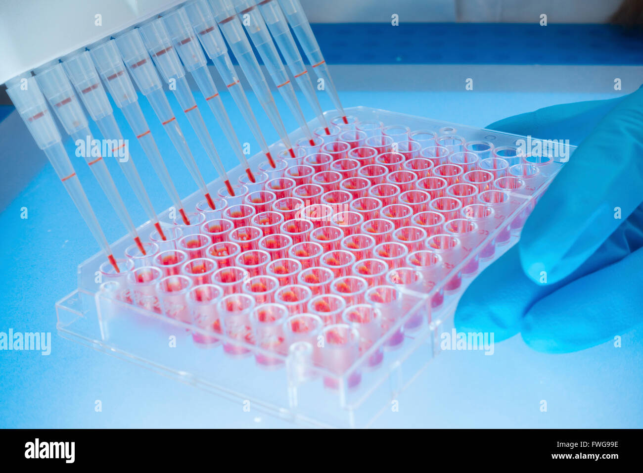 Multiwell sample tray hi-res stock photography and images - Alamy