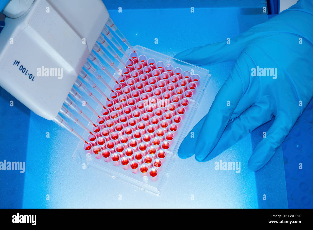 Microbiology samples in a multiwell tray Stock Photo - Alamy