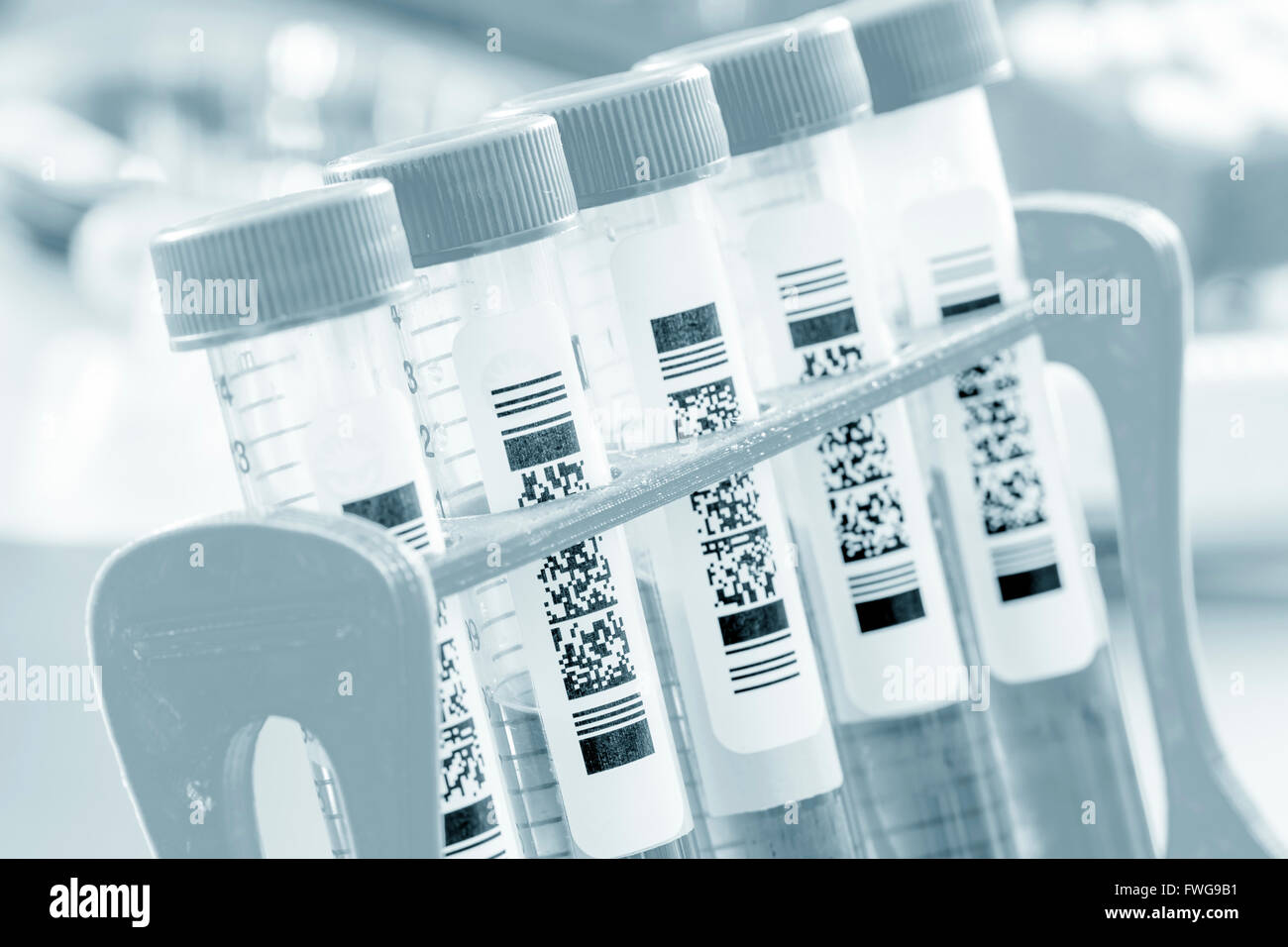 Test tubes with qr (quick response) codes in a rack Stock Photo - Alamy
