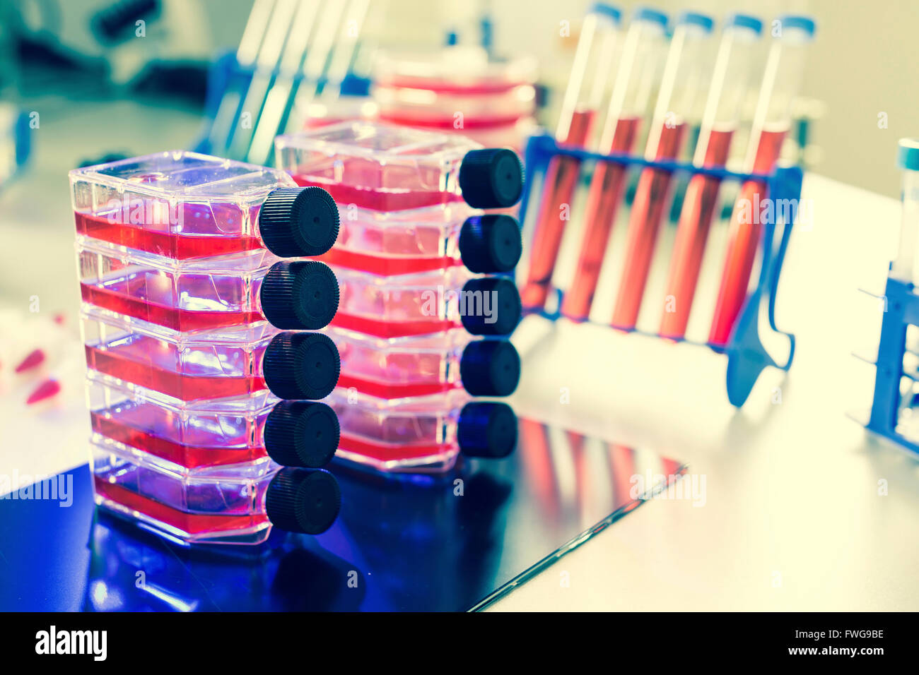 Blood Bottles Stock Photos & Blood Bottles Stock Images - Alamy