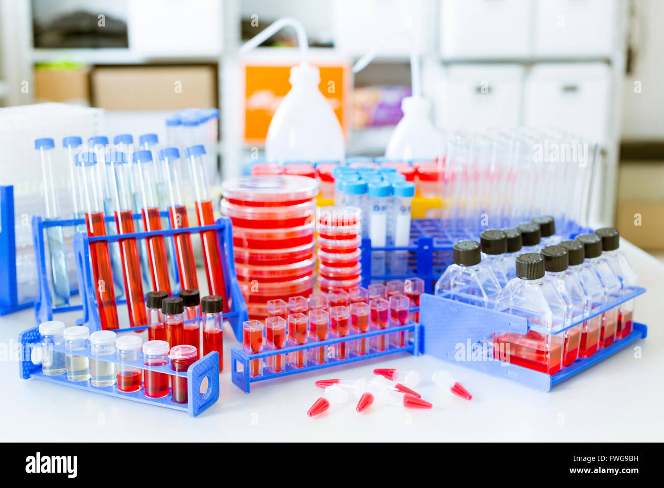 Microbiology equipment in the laboratory Stock Photo - Alamy