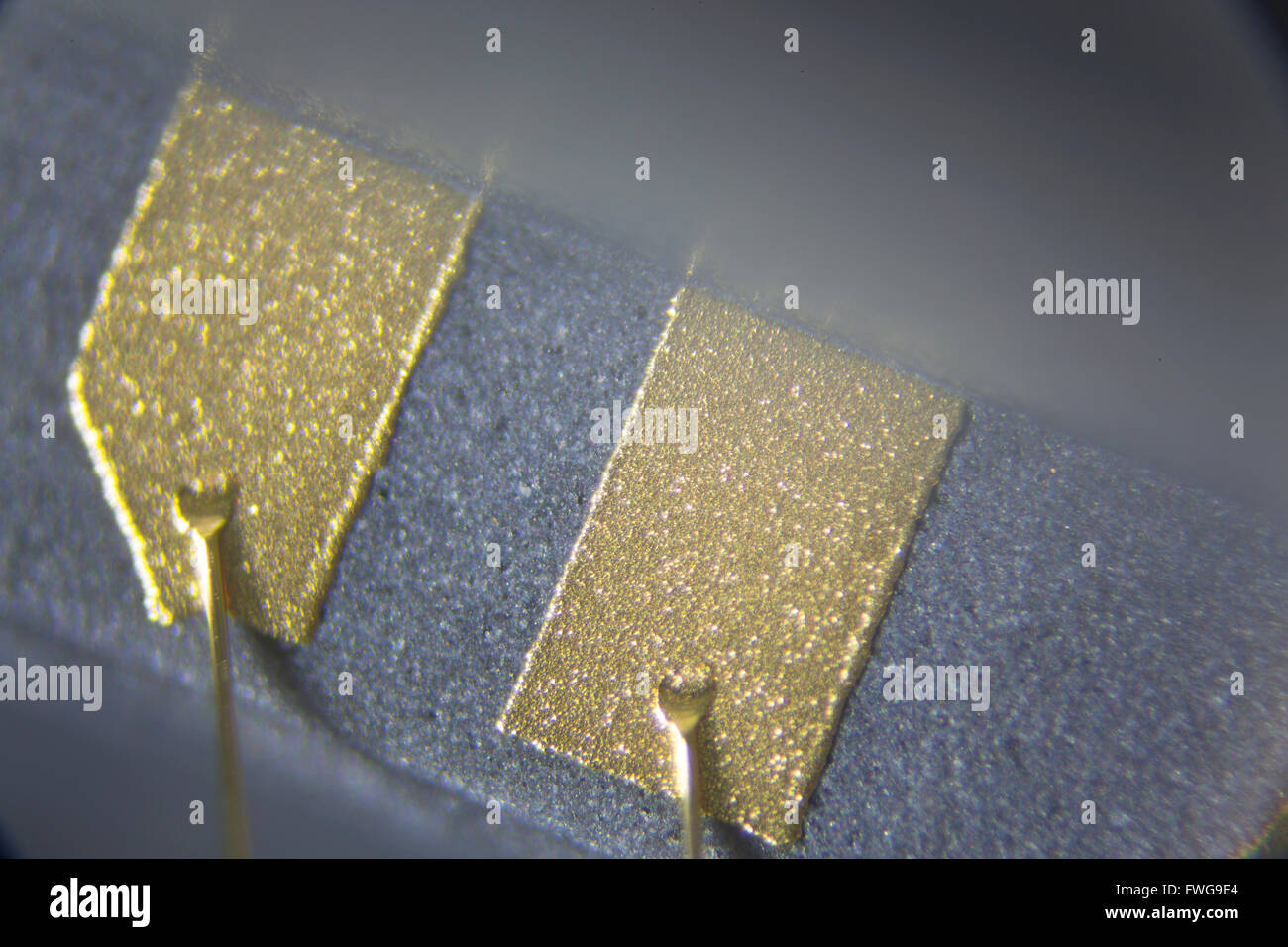 Gold contacts of a microchip Stock Photo - Alamy