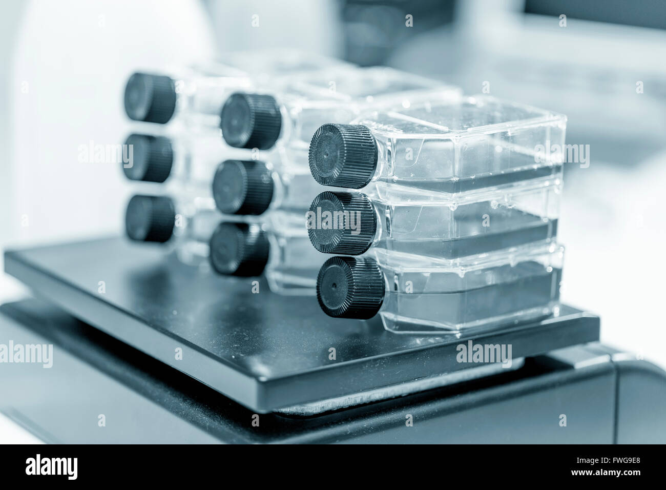 Plastic containers in the laboratory Stock Photo - Alamy