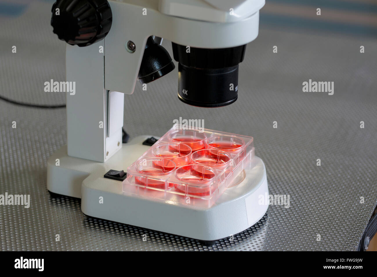 Blood microscope hi-res stock photography and images - Alamy