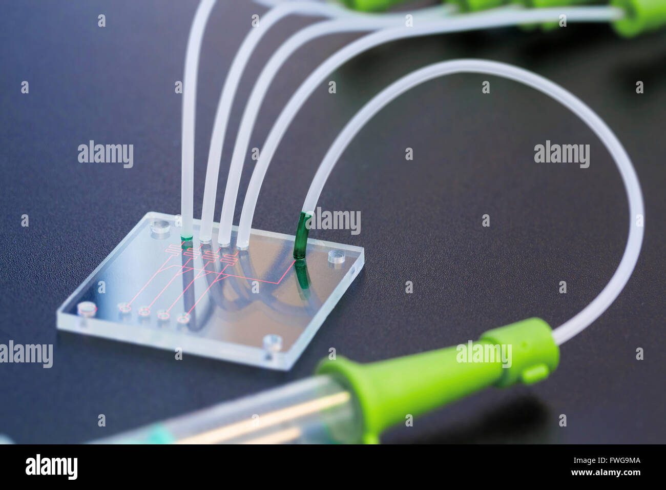 Lab on a chip (LAC) technology Stock Photo - Alamy