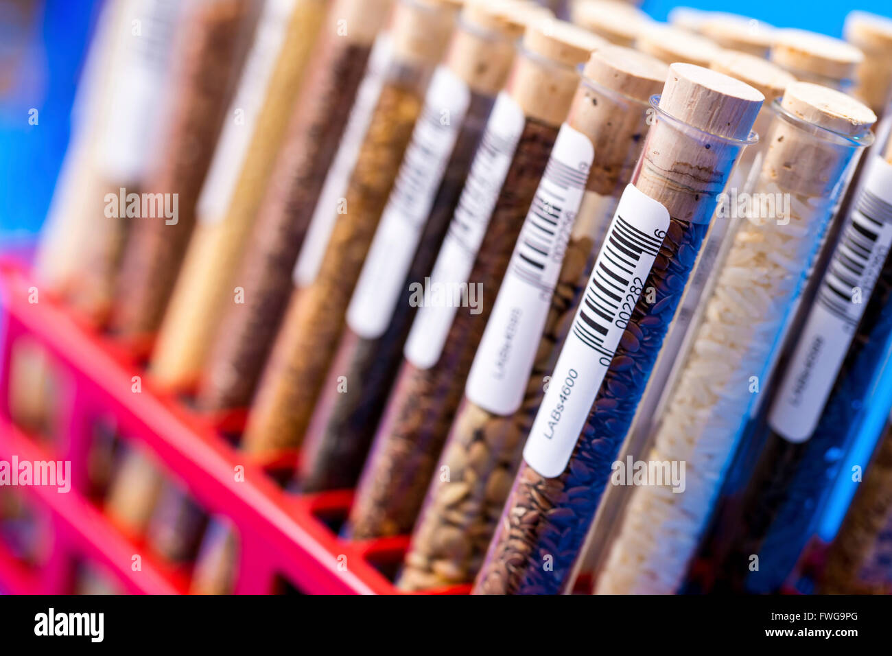 Food samples in test tubes Stock Photo - Alamy