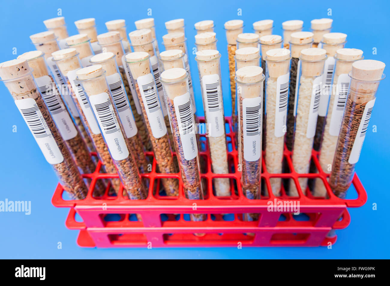 Food samples in test tubes against a blue background Stock Photo - Alamy