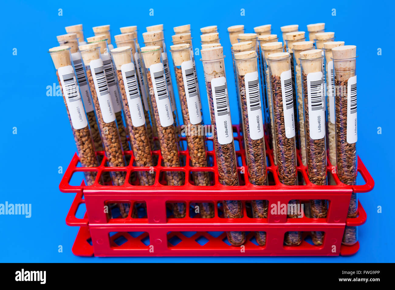 Food samples in test tubes against a blue background Stock Photo - Alamy