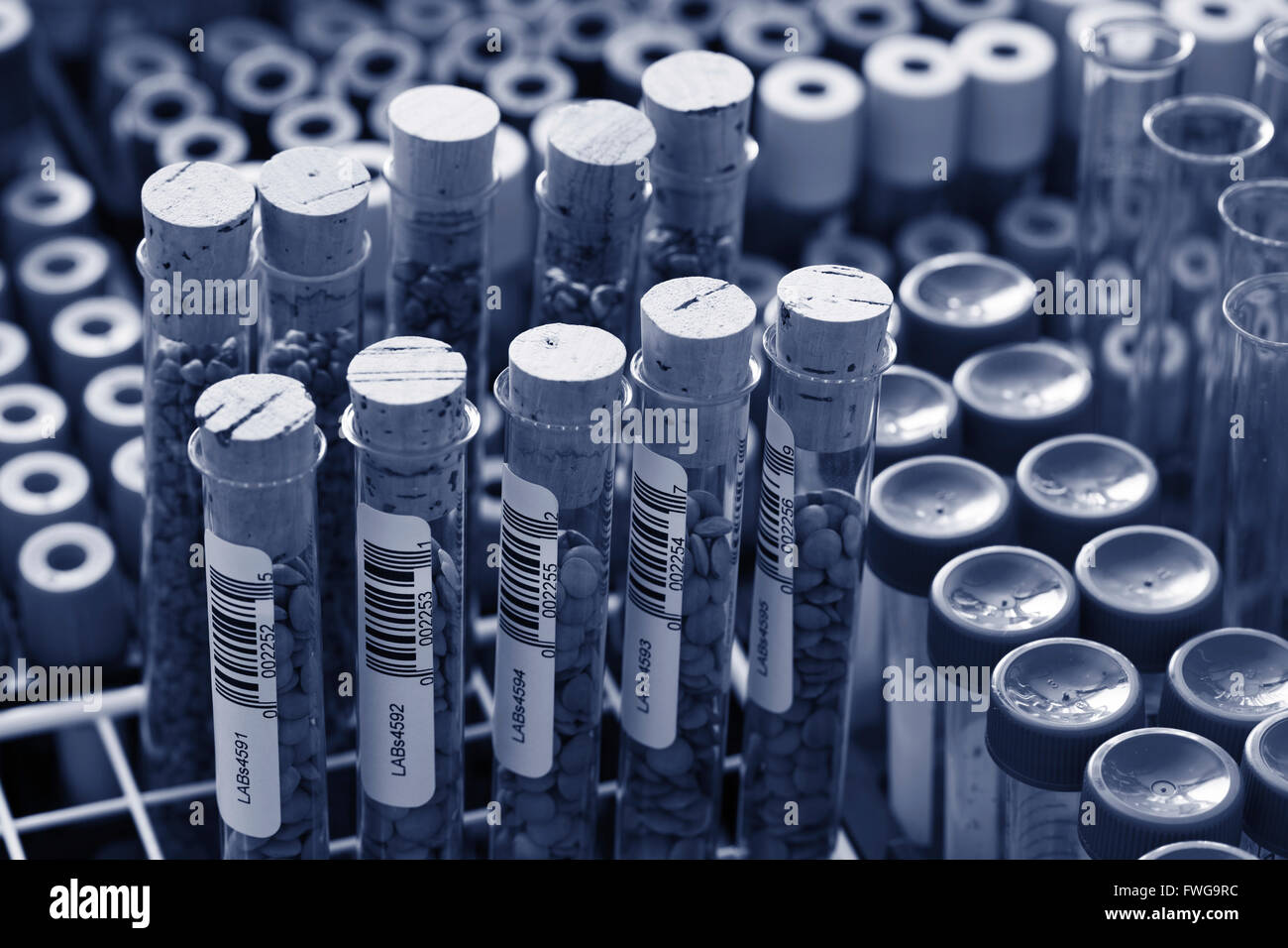Food samples in test tubes Stock Photo - Alamy