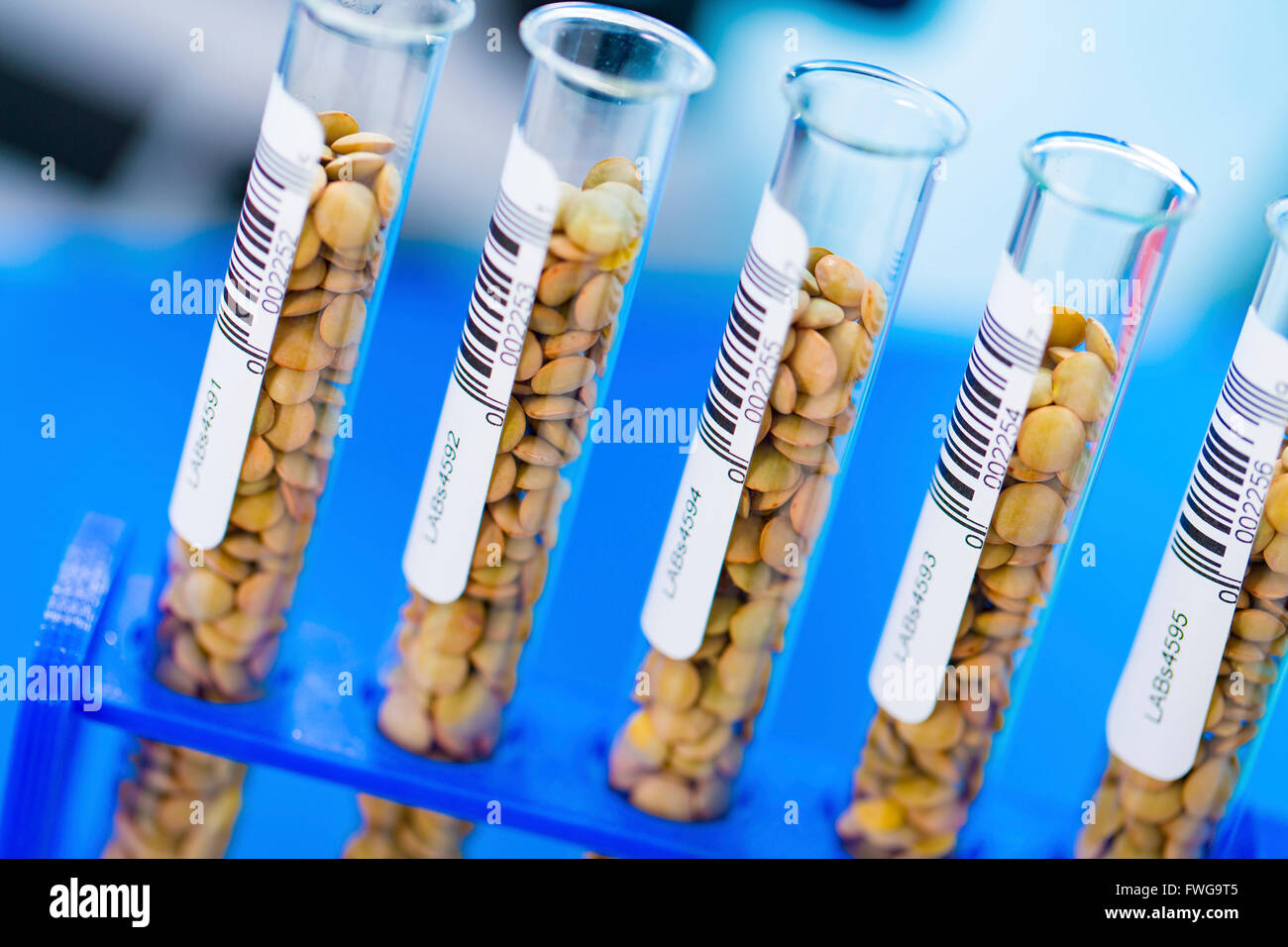 Lentil samples in test tubes with bar codes Stock Photo - Alamy