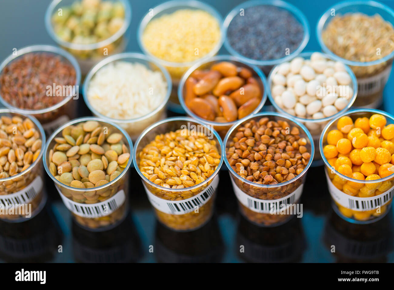 Samples of grains and legumes Stock Photo - Alamy
