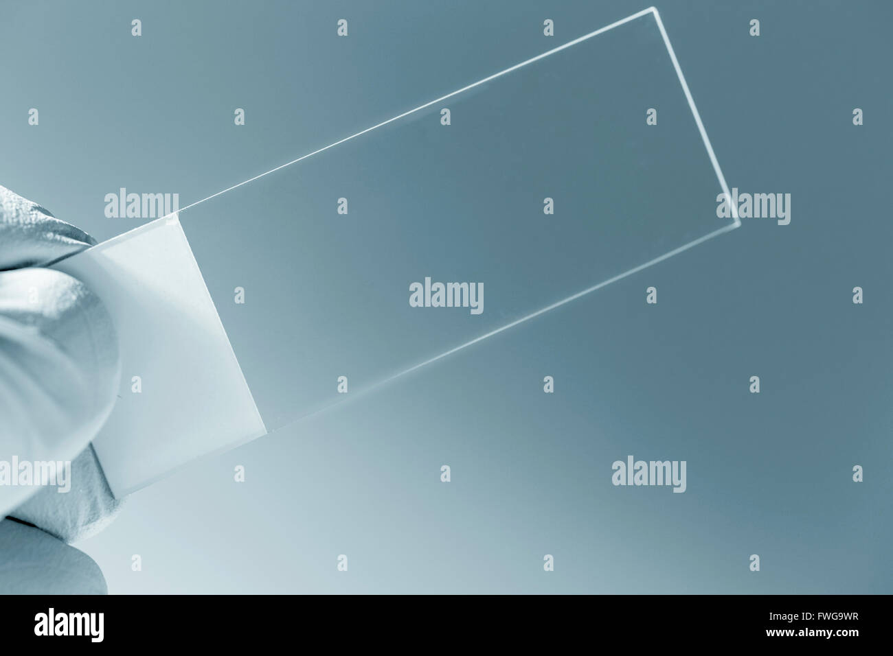 Empty microscope slide Stock Photo - Alamy