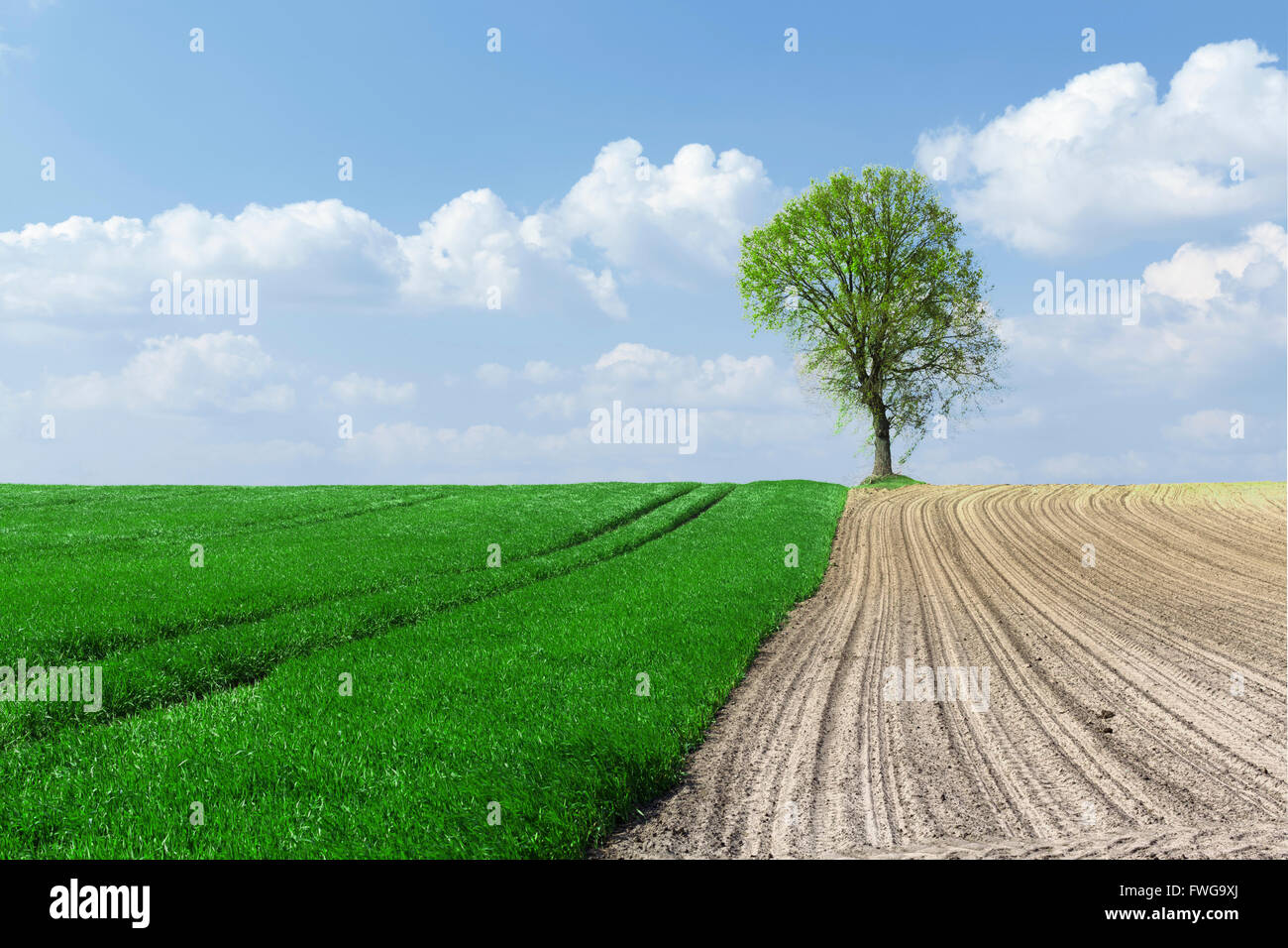 Field comparison hi-res stock photography and images - Alamy
