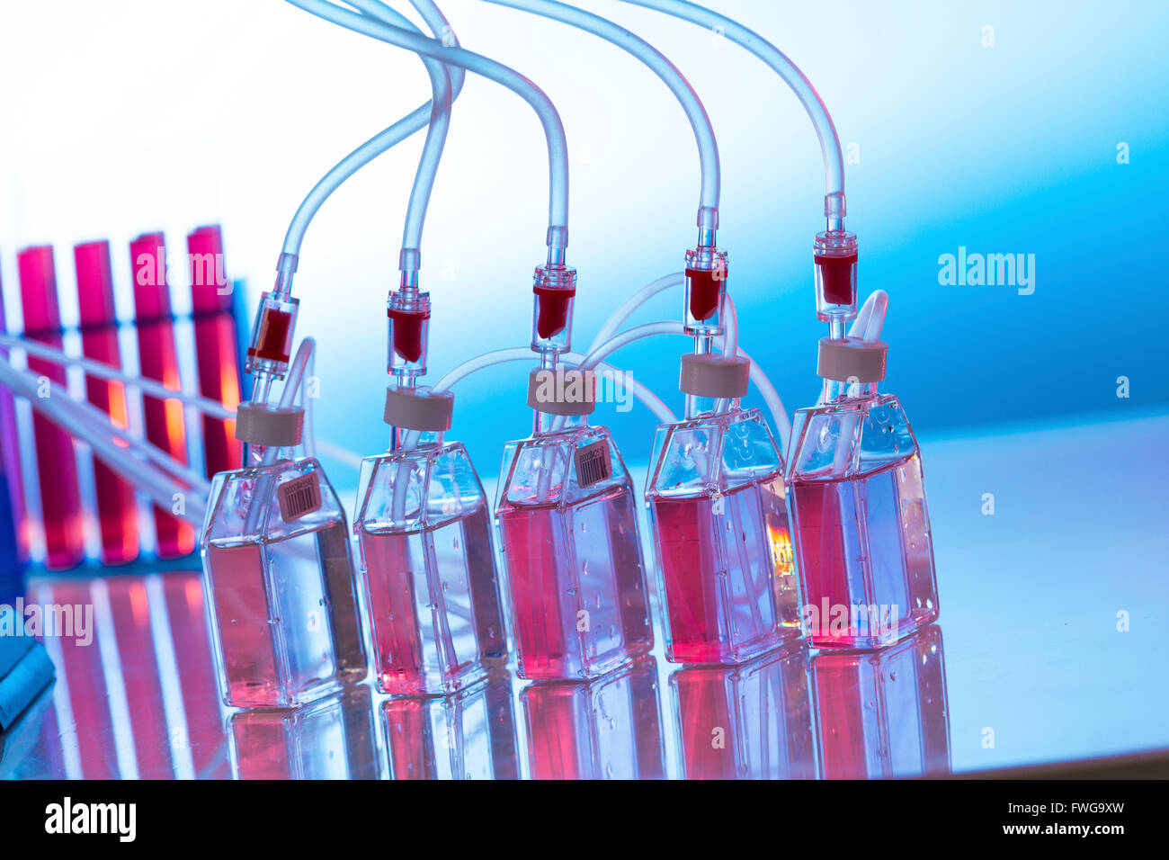 Bioreactor hi-res stock photography and images - Alamy