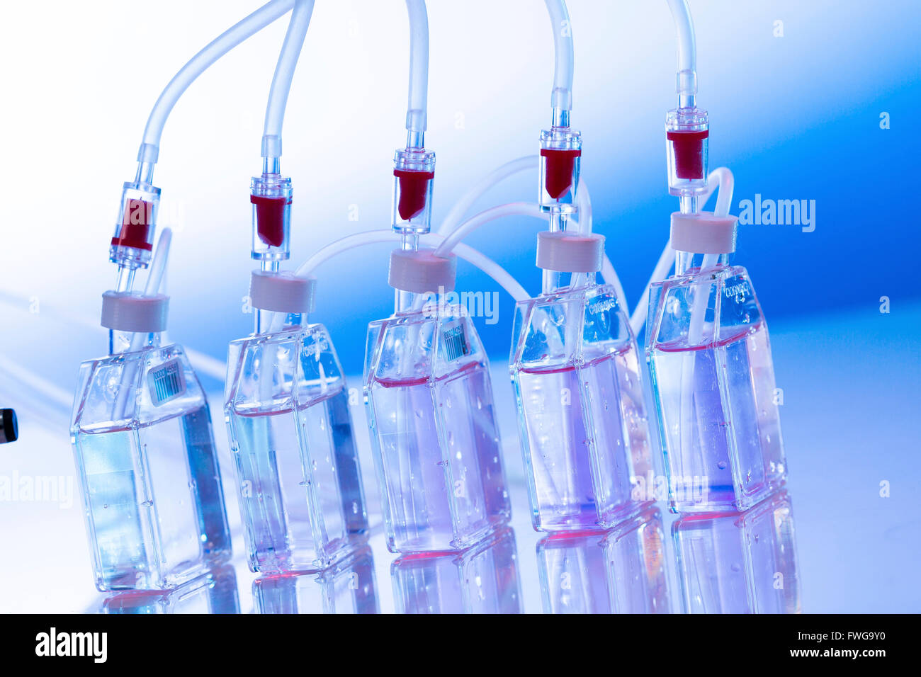 Bioreactor hi-res stock photography and images - Alamy