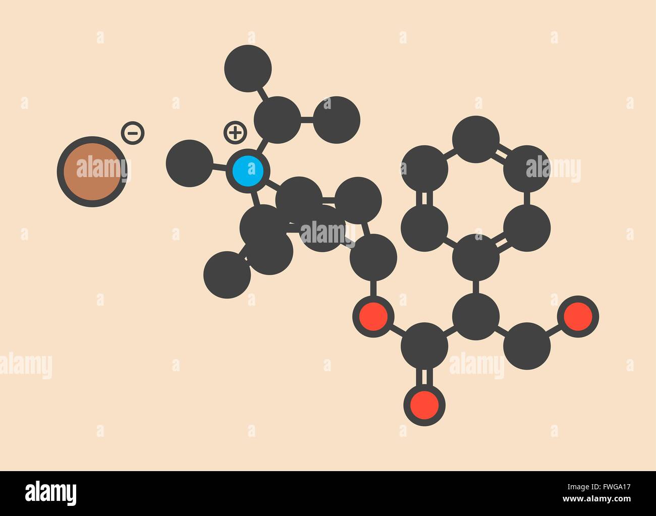 Ipratropium bromide asthma and COPD drug molecule Often administered ...
