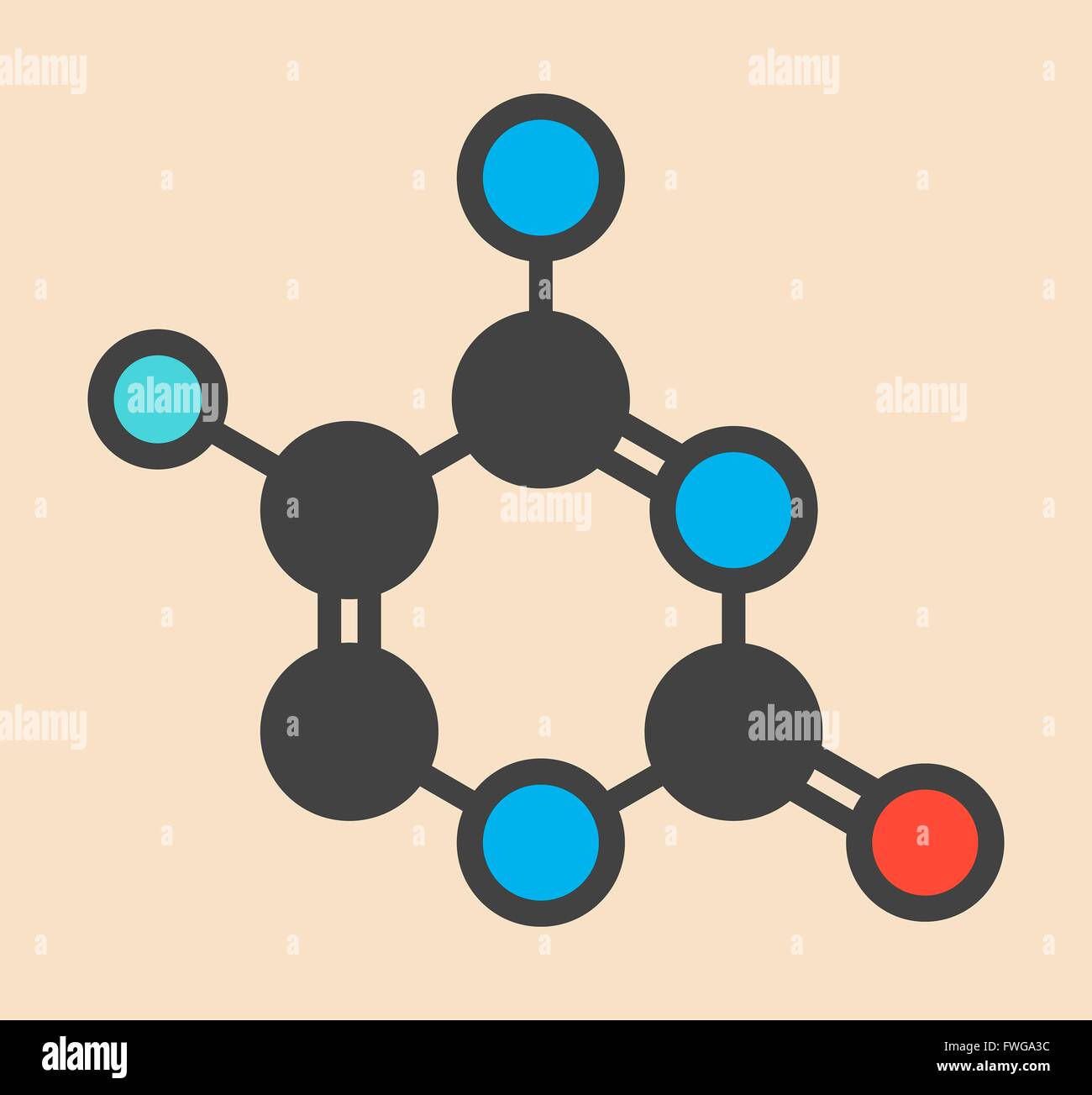 Cryptococcus High Resolution Stock Photography and Images - Alamy