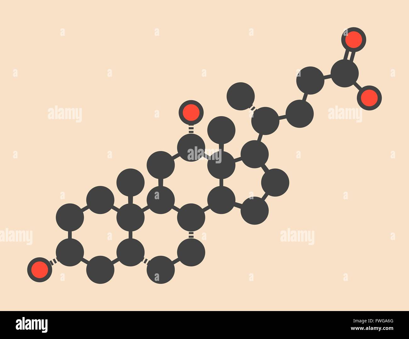 Deoxycholic acid bile acid molecule Also used as drug Stylized skeletal ...