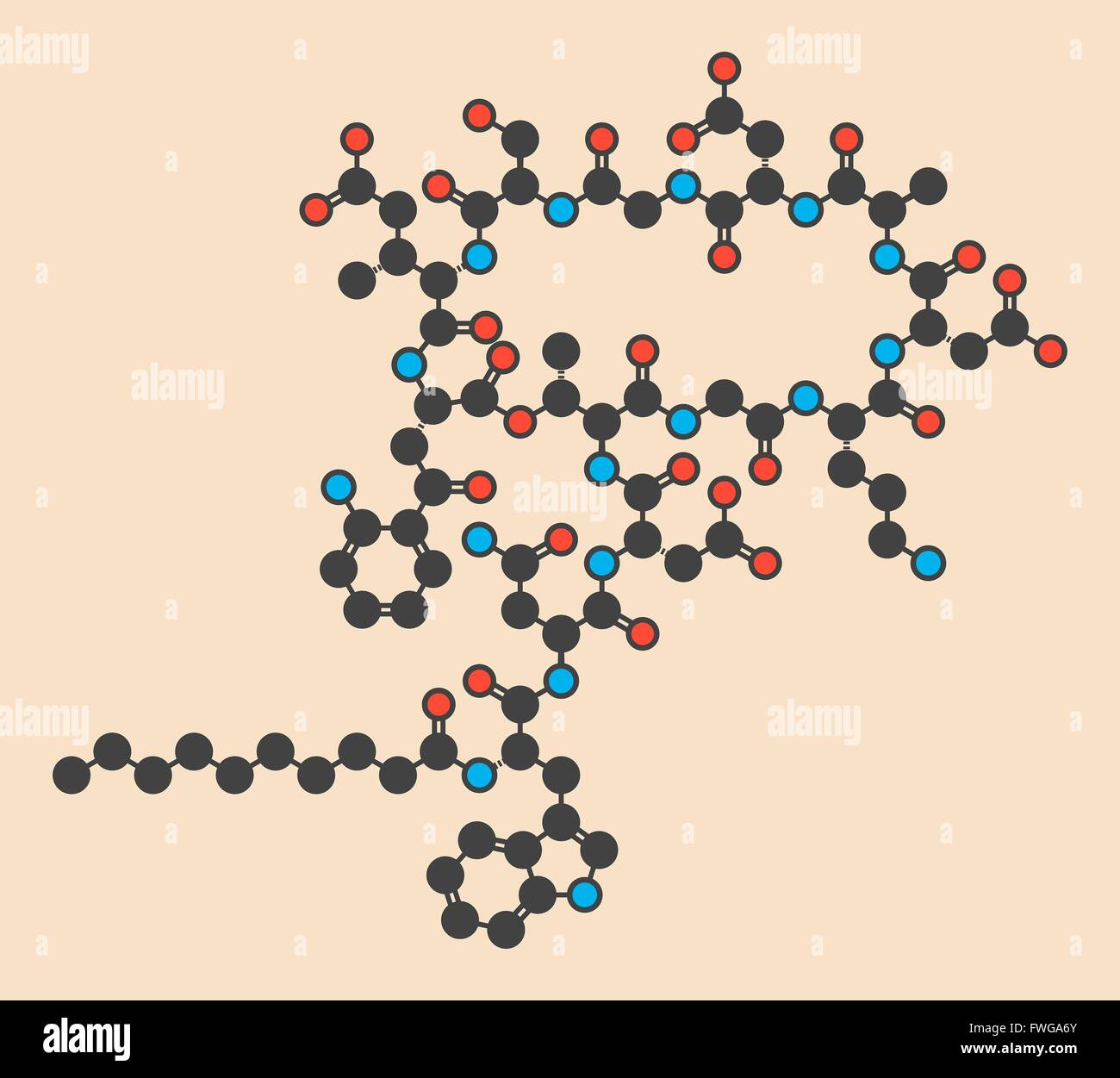 Daptomycin antibiotic drug molecule Stylized skeletal formula (chemical ...
